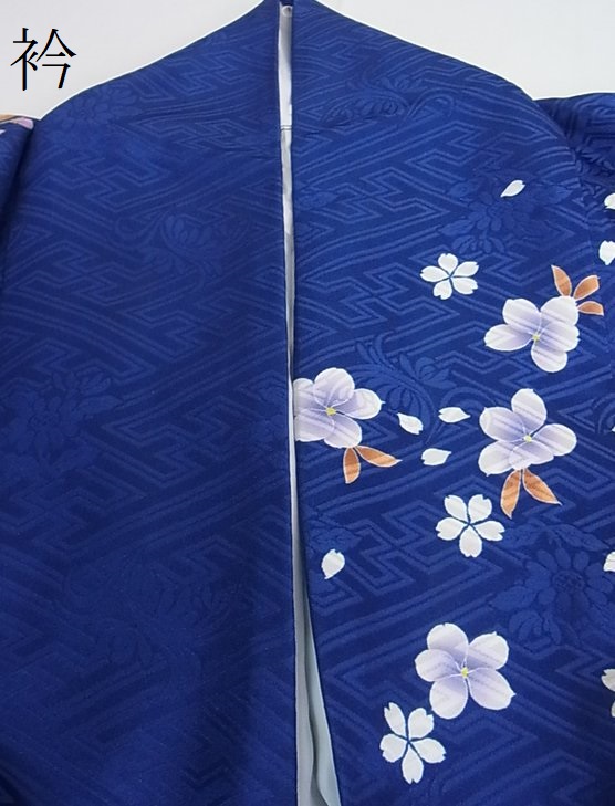 【目立った傷や汚れなし】花美人 極上 振袖 長襦袢(無双仕立て)セット 花車 乱菊 暈し染め 金彩 半衿刺繍 逸品 ic2966の落札情報詳細 ...